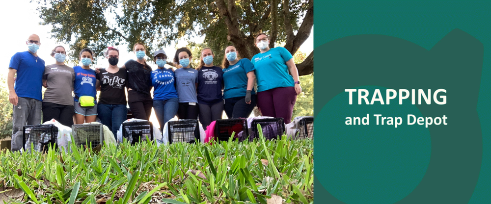 Our Trap Depot — Operation Catnip