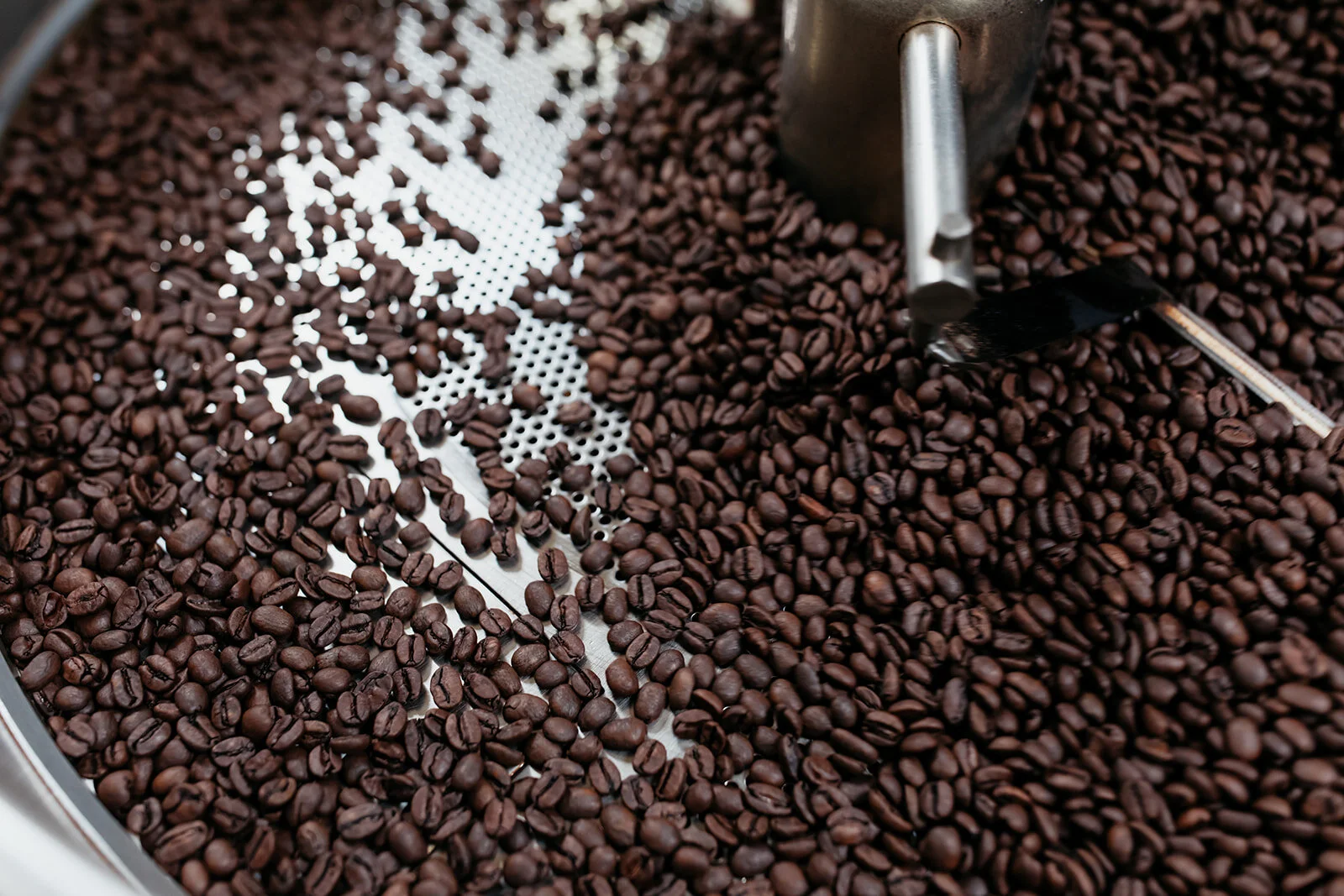 SHOP — seasons coffee roasters