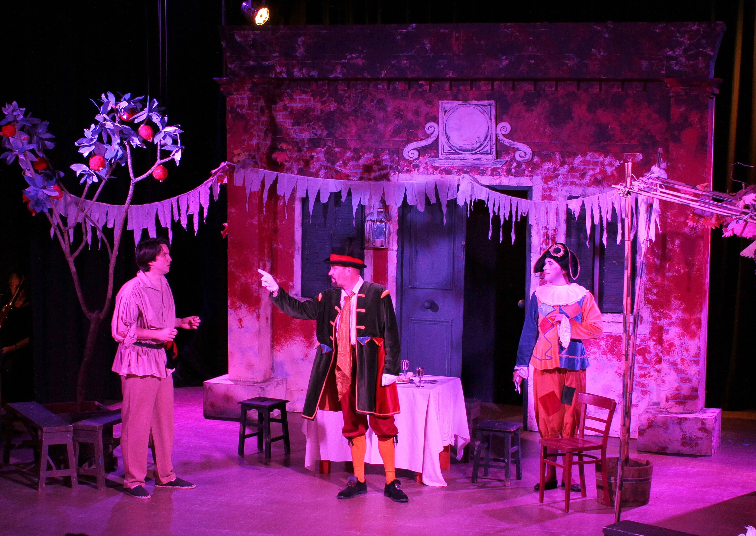 Duchy Opera — Park House Opera