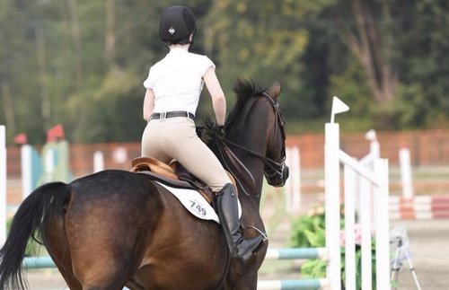 RockMeadow Equestrian Center