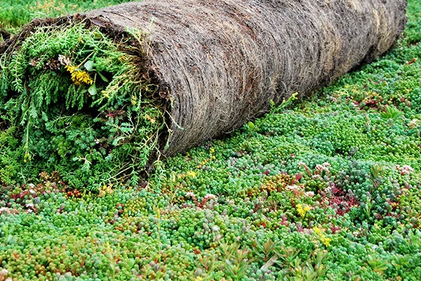 Green Roof Installation & Consultancy UK Wide - Full Sytems or Sections ...