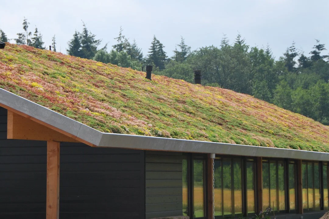 Green Roof Installation & Consultancy UK Wide - Full Sytems or Sections ...