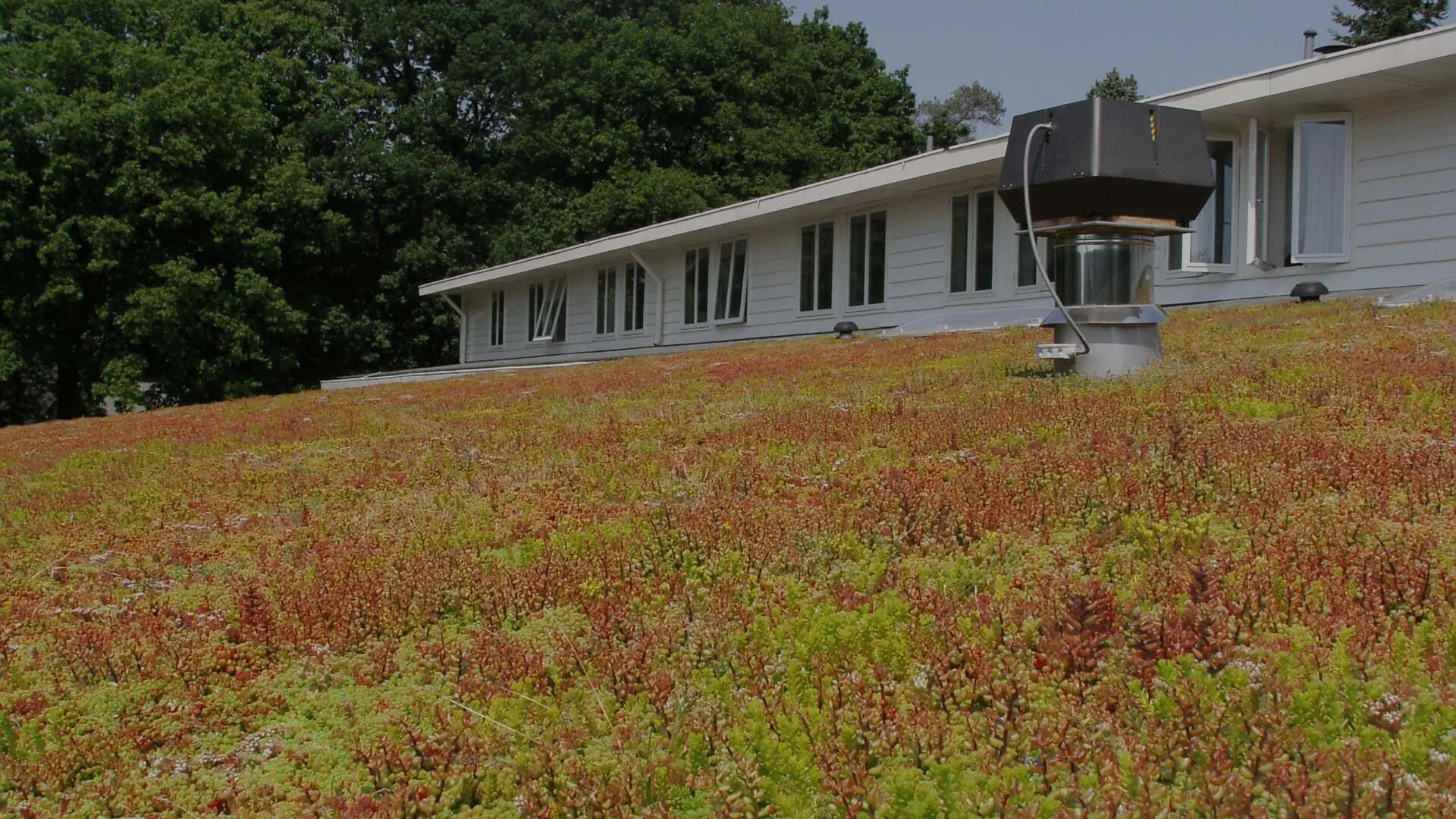 UK's Leading Provider Of Lawn And Sports Turf | Eco-Friendly