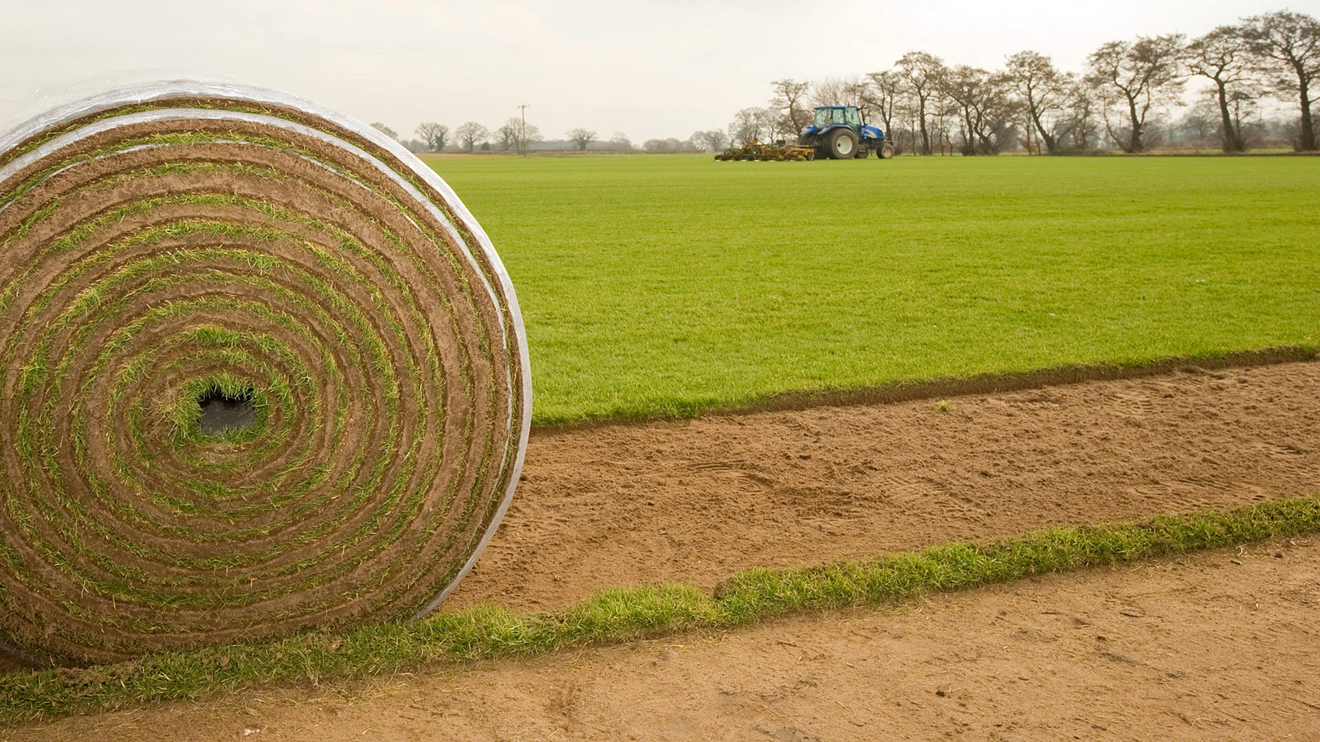 Specialist Lawn and Sports Turf | UK Nationwide Delivery — Lindum