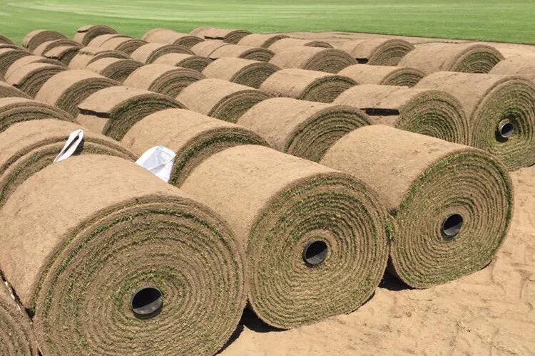 UK's Leading Provider Of Lawn And Sports Turf | Eco-Friendly — Lindum