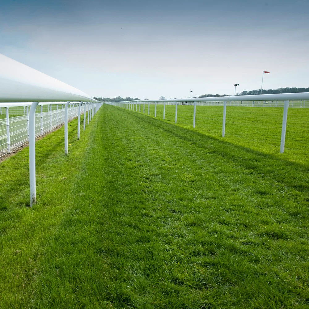 LT6 Sports — Lindum