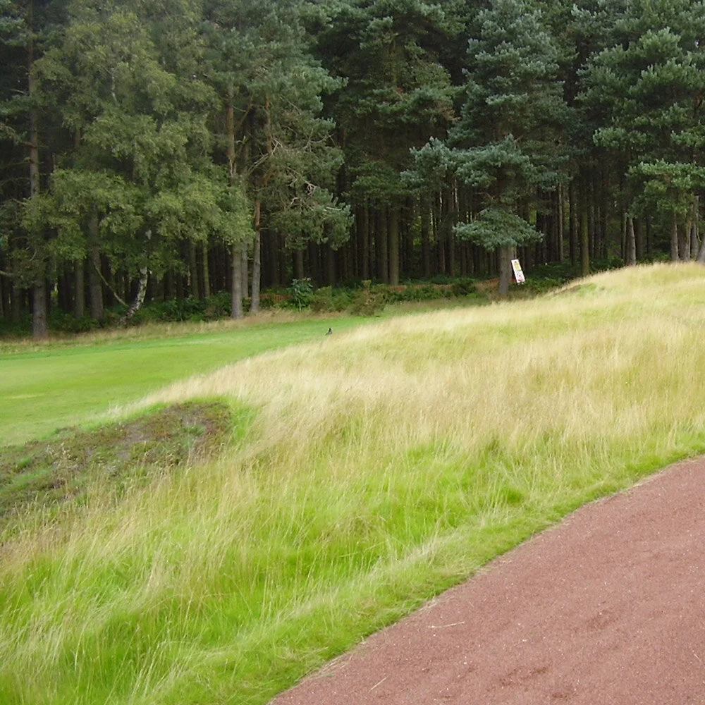 LT2 Low Maintenance Fine Turf — Lindum