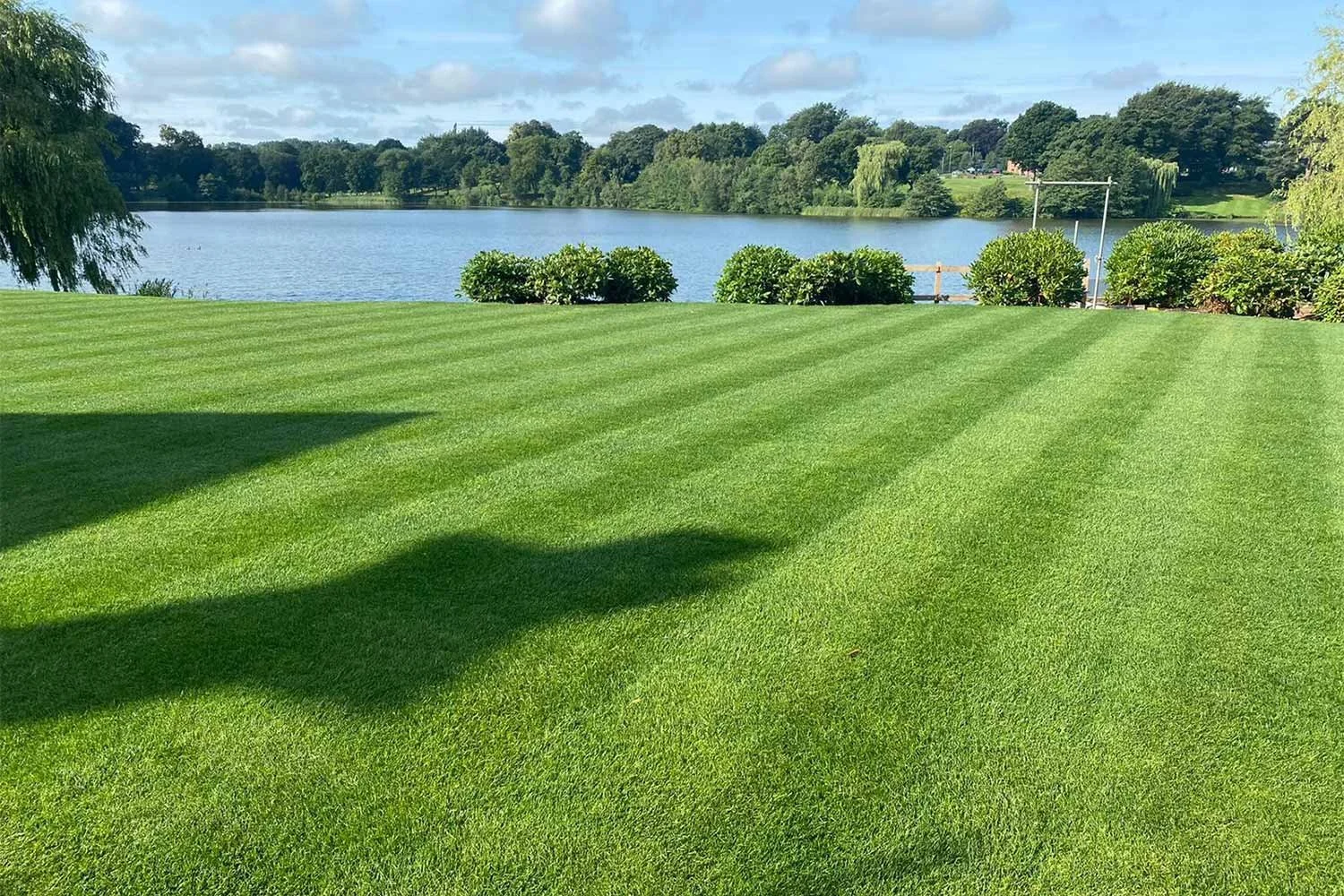 Specialist Lawn and Sports Turf | UK Nationwide Delivery — Lindum