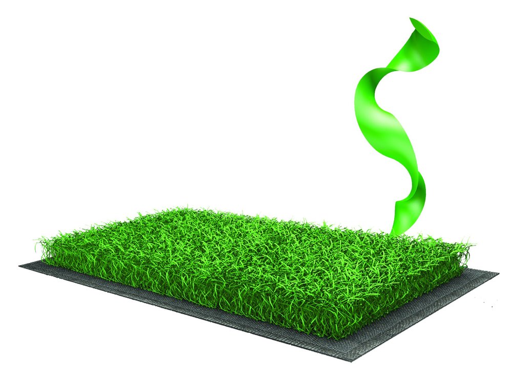 HOCKEY — Fieldturf NZ