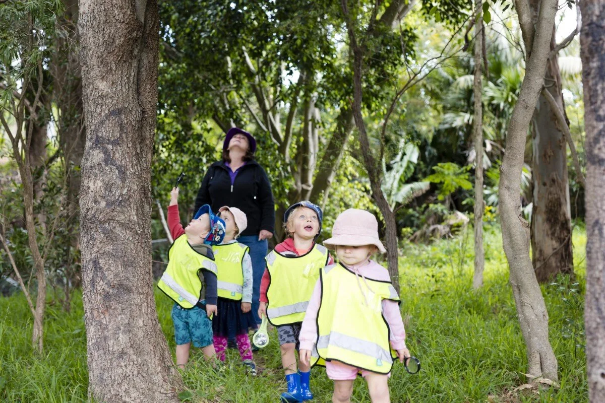 Bush Kinder Program — Point Street Early Learning Centre