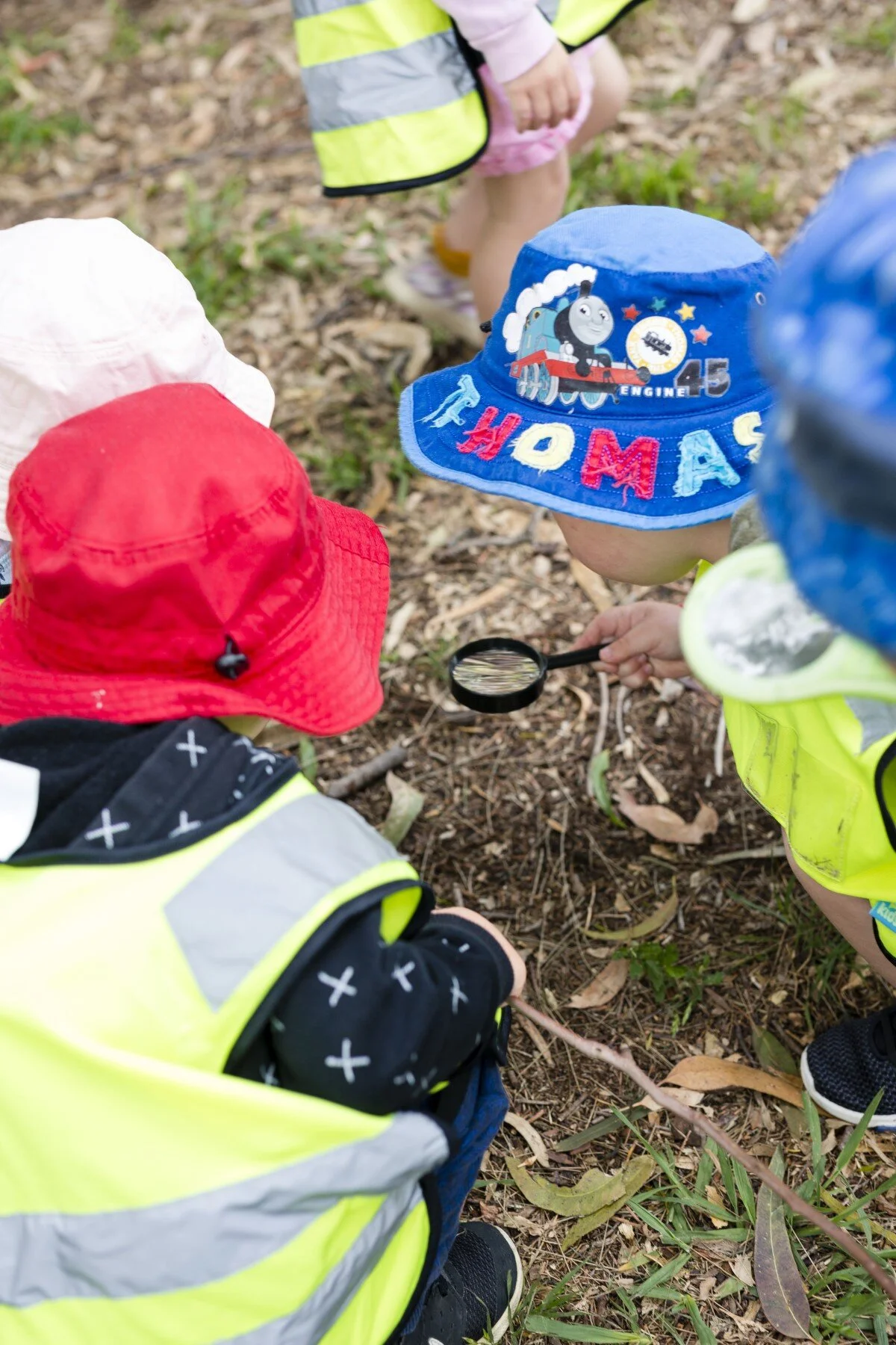 Bush Kinder Program — Point Street Early Learning Centre