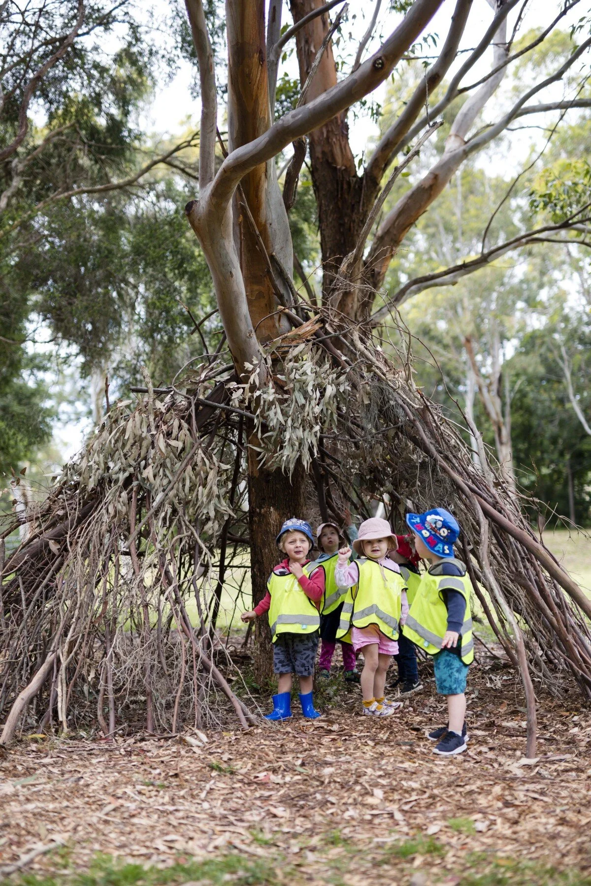 Bush Kinder Program — Point Street Early Learning Centre