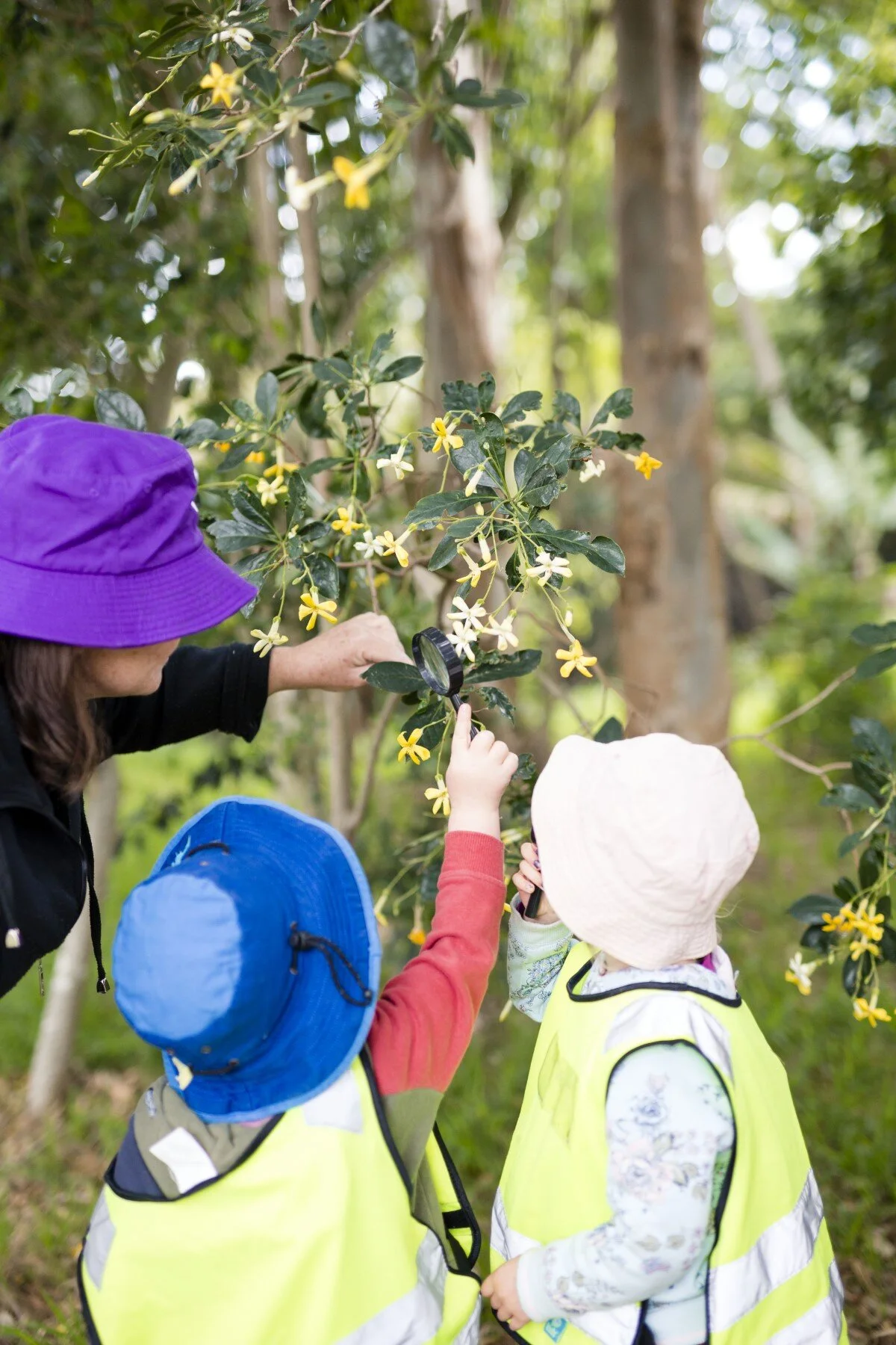 Bush Kinder Program — Point Street Early Learning Centre