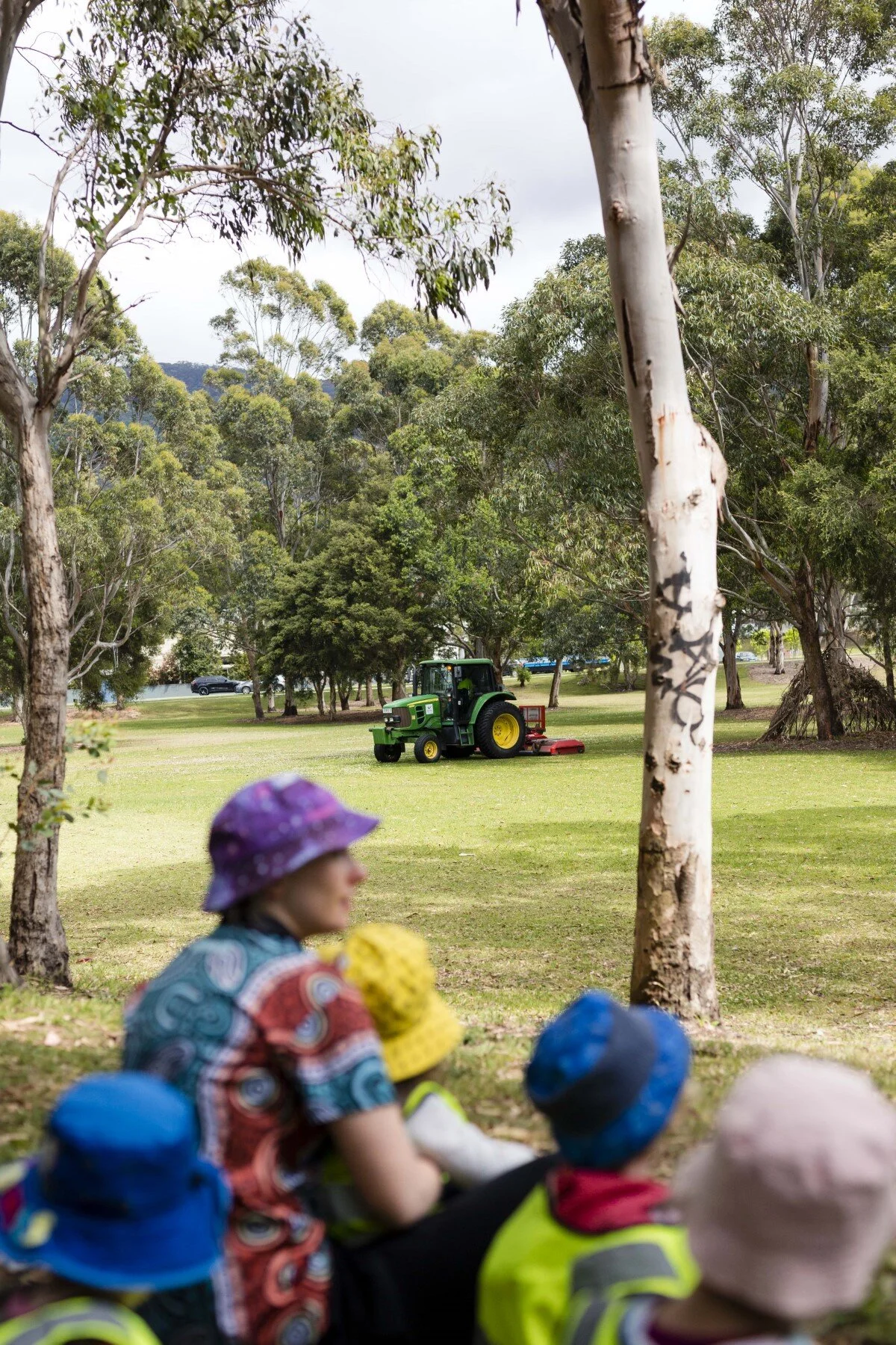 Bush Kinder Program — Sandon Point Children's Centre - Bulli