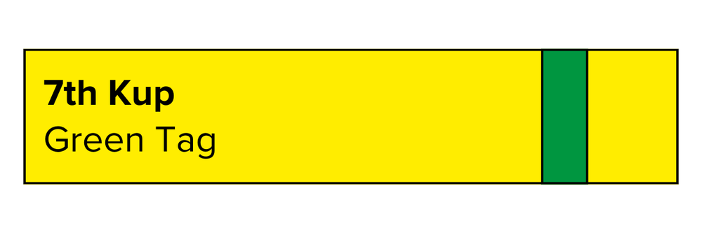 Green tag grading | Steven Mclaren Martial Arts