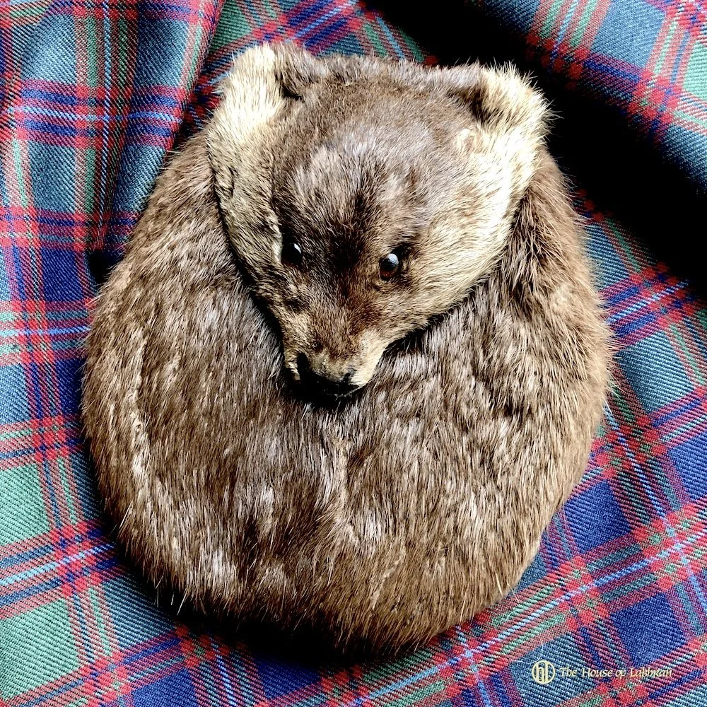 Vintage Scottish Otter Sporrans