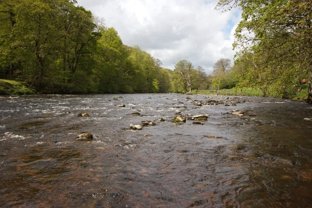 Guided Fly Fishing In North Yorkshire And The Yorkshire Dales.
