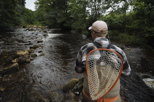 Guided Fly Fishing In North Yorkshire And The Yorkshire Dales.