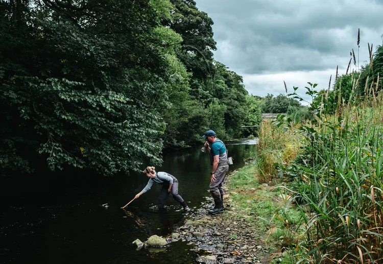 Guided Fly Fishing In North Yorkshire And The Yorkshire Dales.