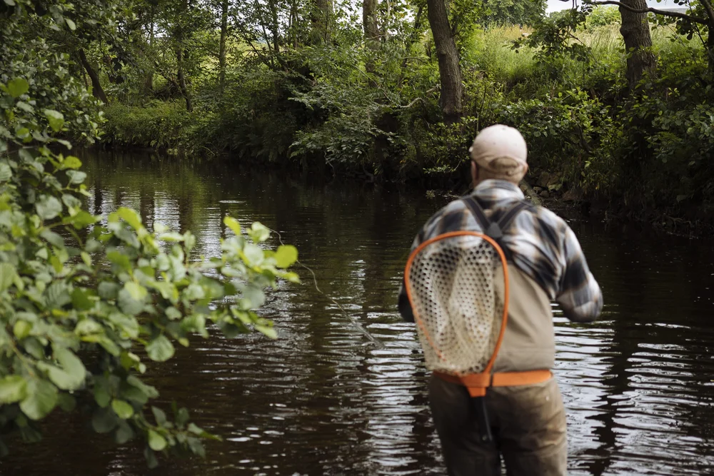 Fly Fishing on the River Nidd — Boatfield Fly Fishing