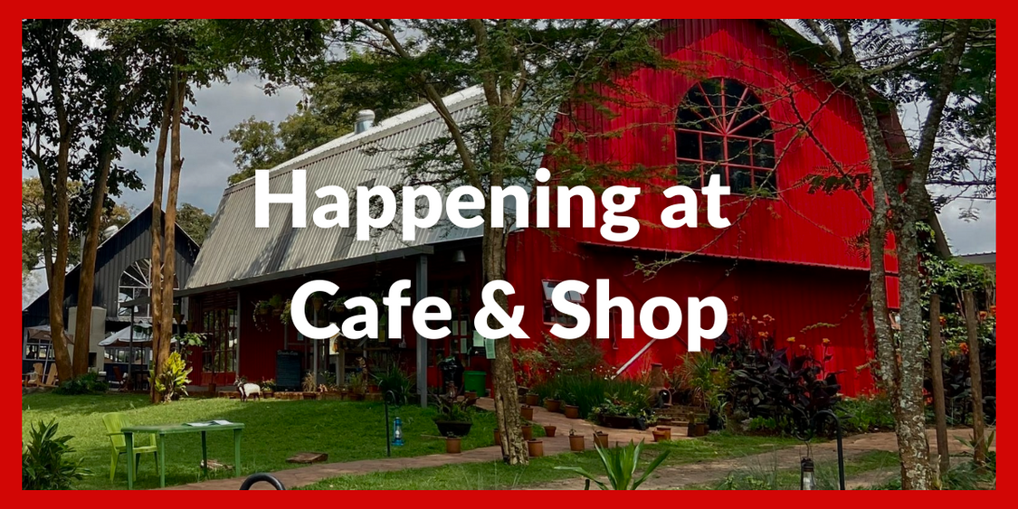 Whats Happening — Shamba Cafe & Shop