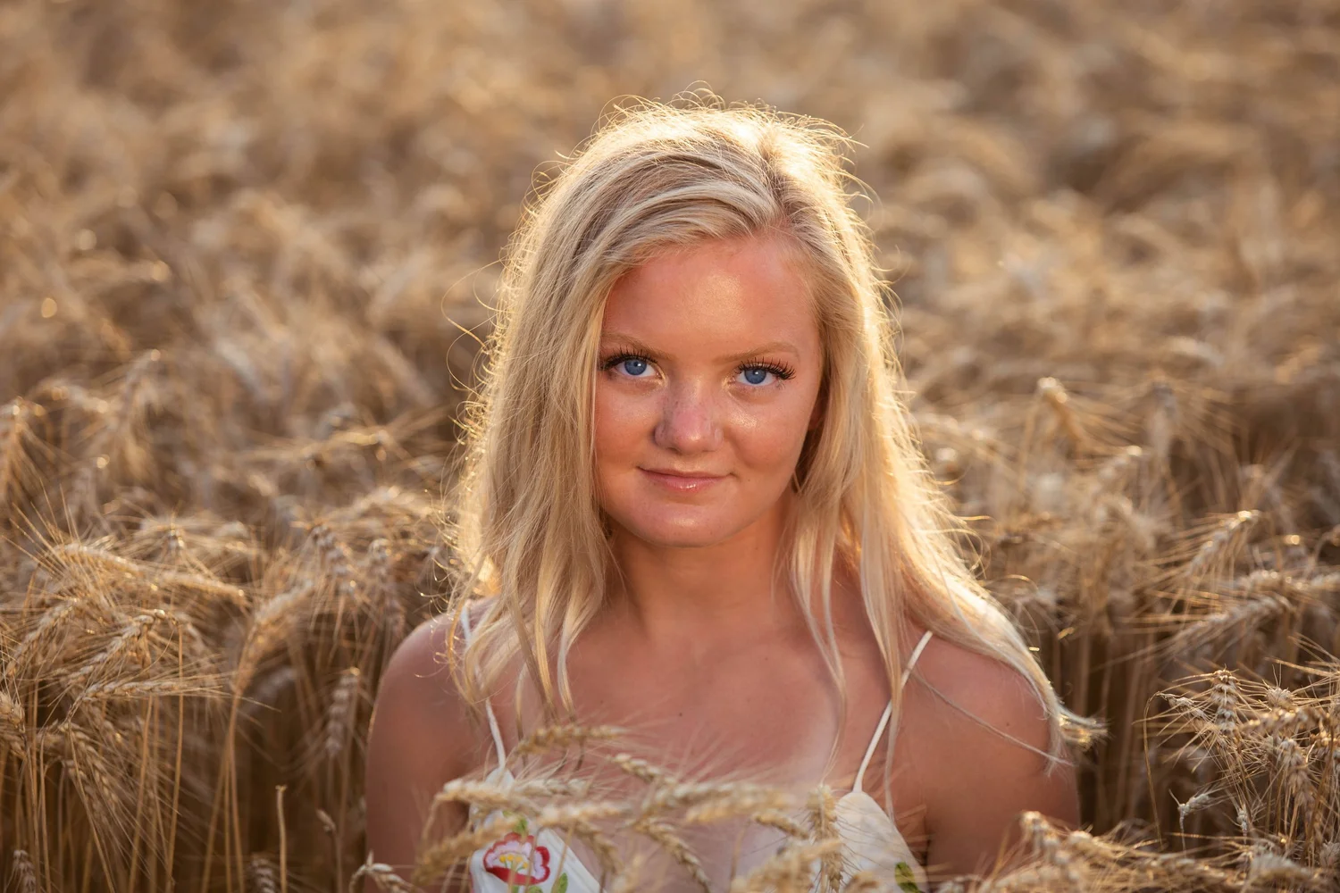 Ben Tschetter Photography | Champaign-Urbana, IL Portrait & Wedding ...