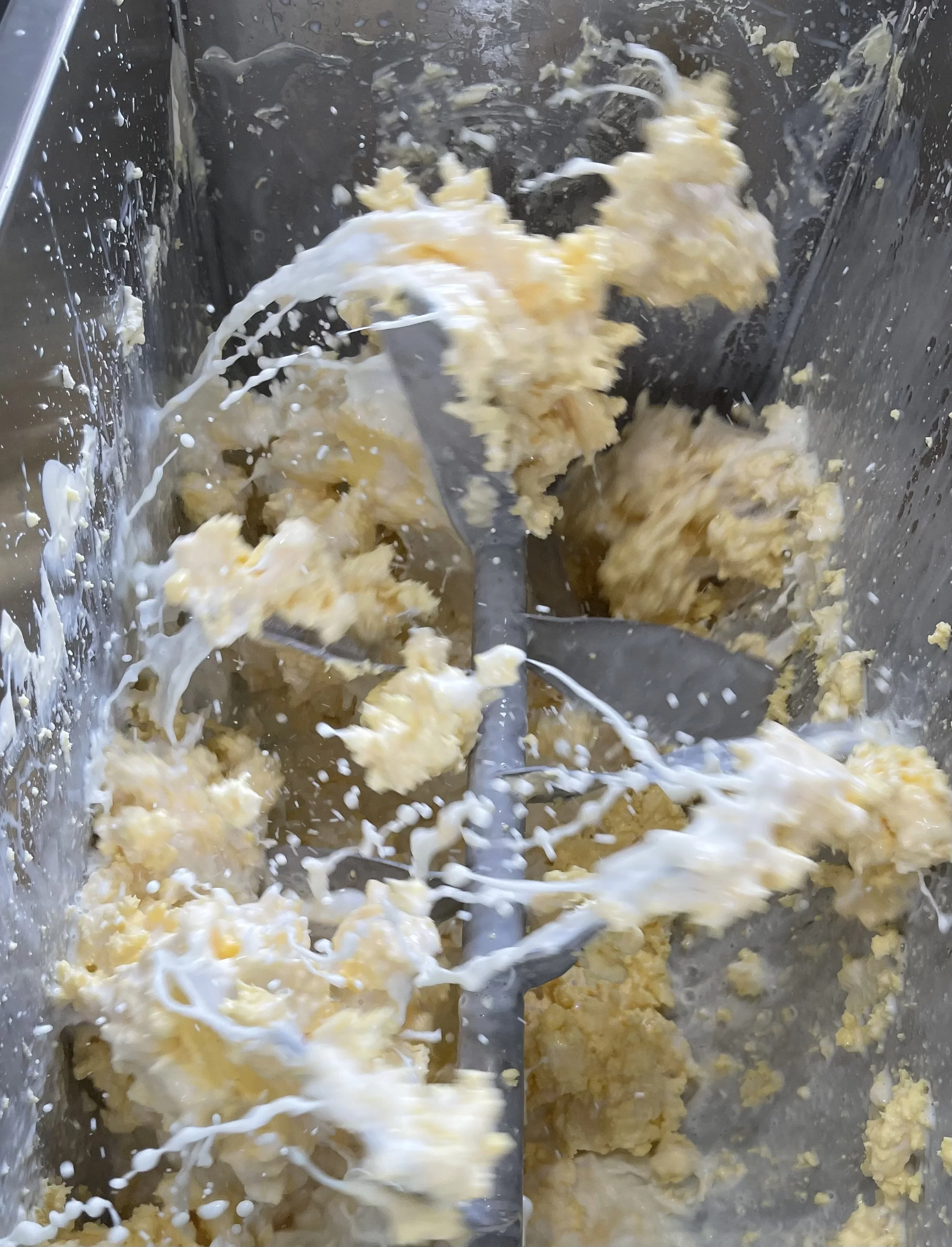 Dairy — BENEDIKT DAIRY