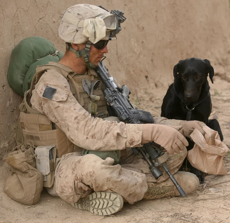Friends Of The Troops