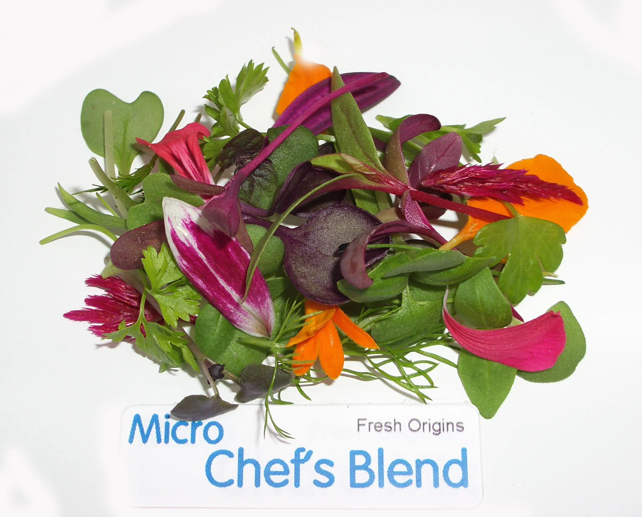 Microgreens — Elegance Distributors