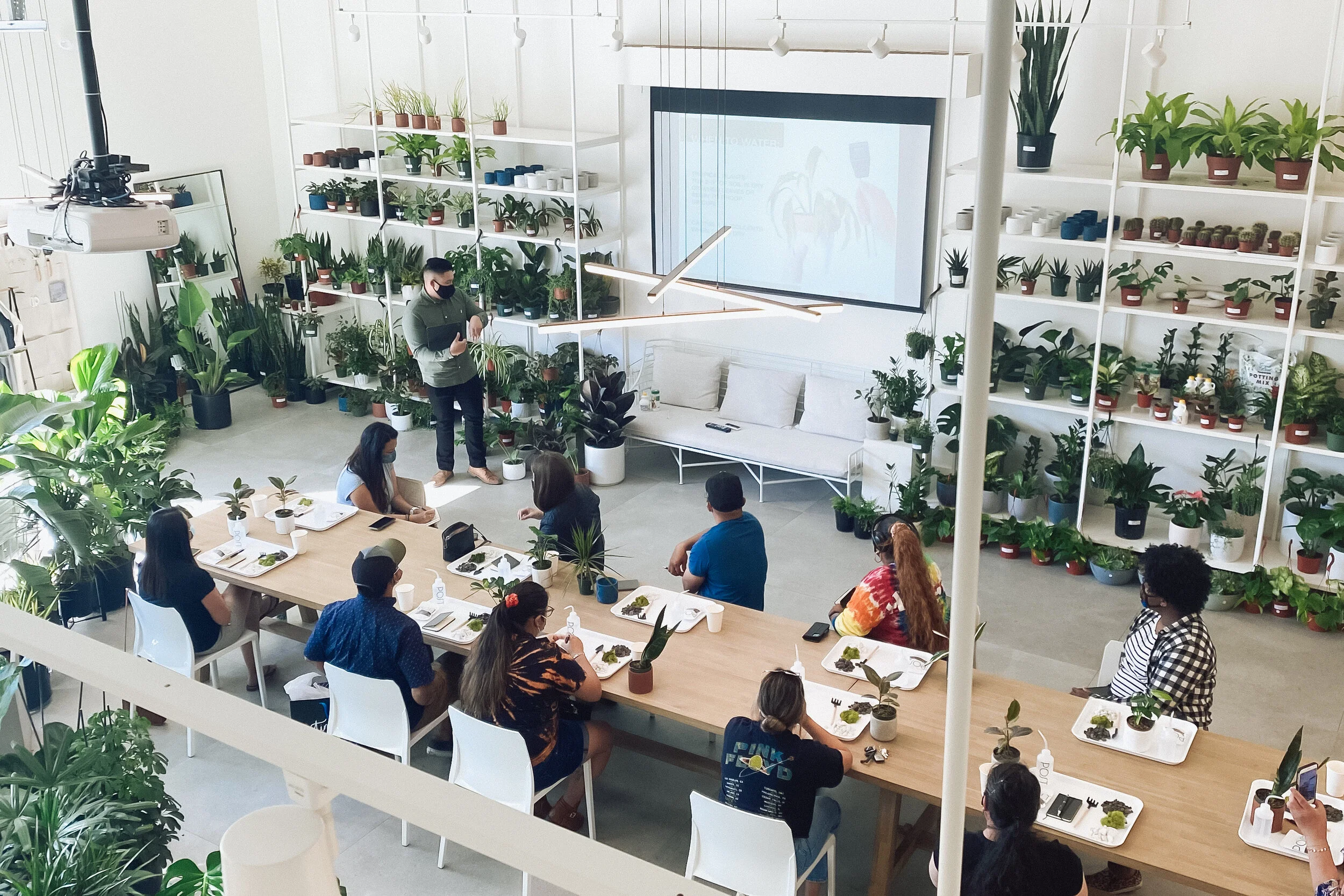 Workshops — Plants by Post