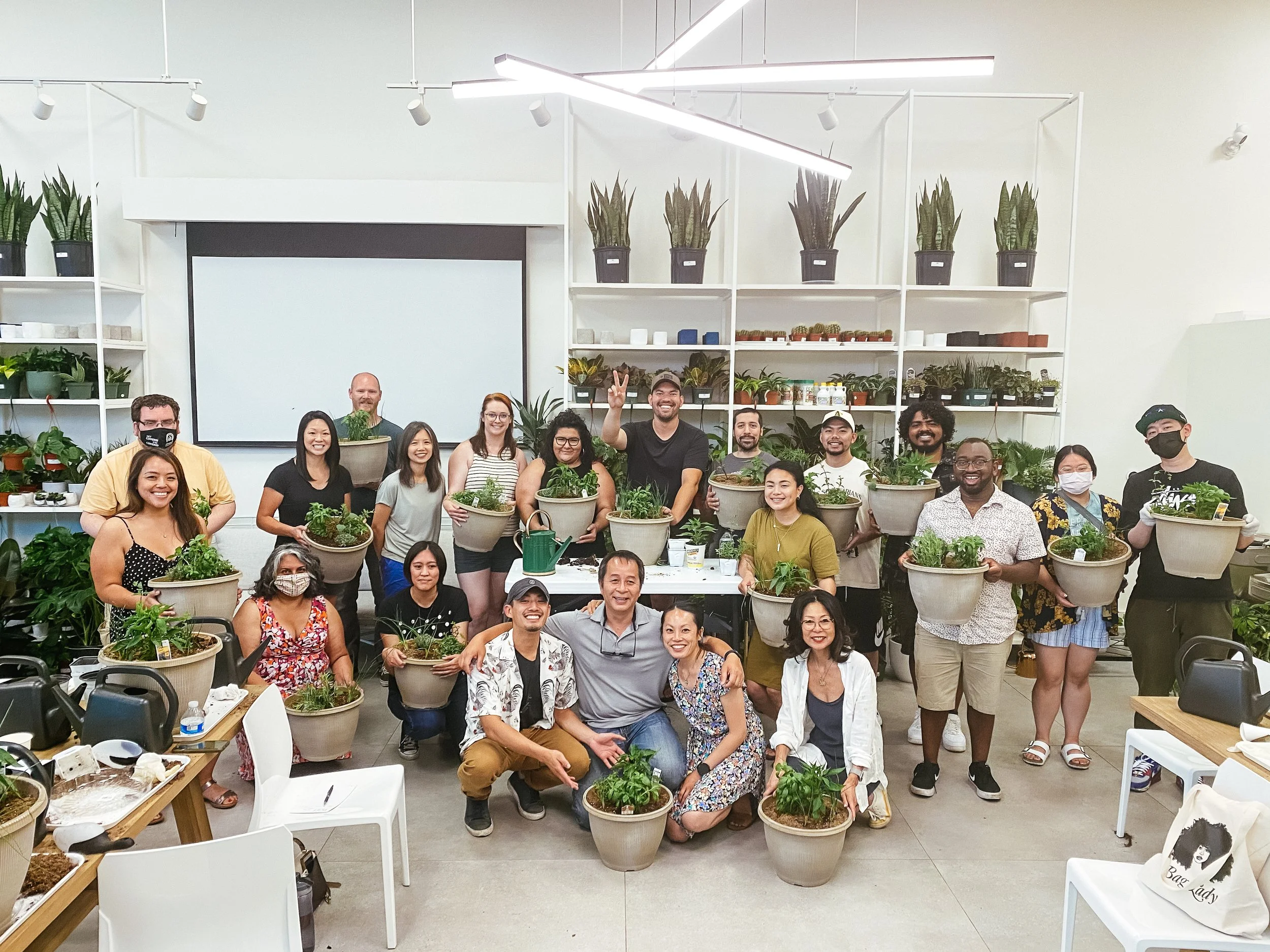 Workshops — Plants by Post