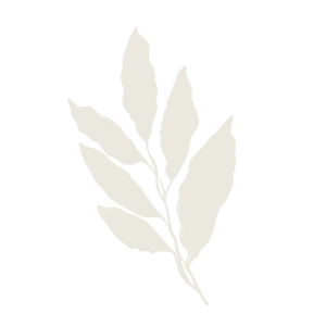 About Us — Plants by Post