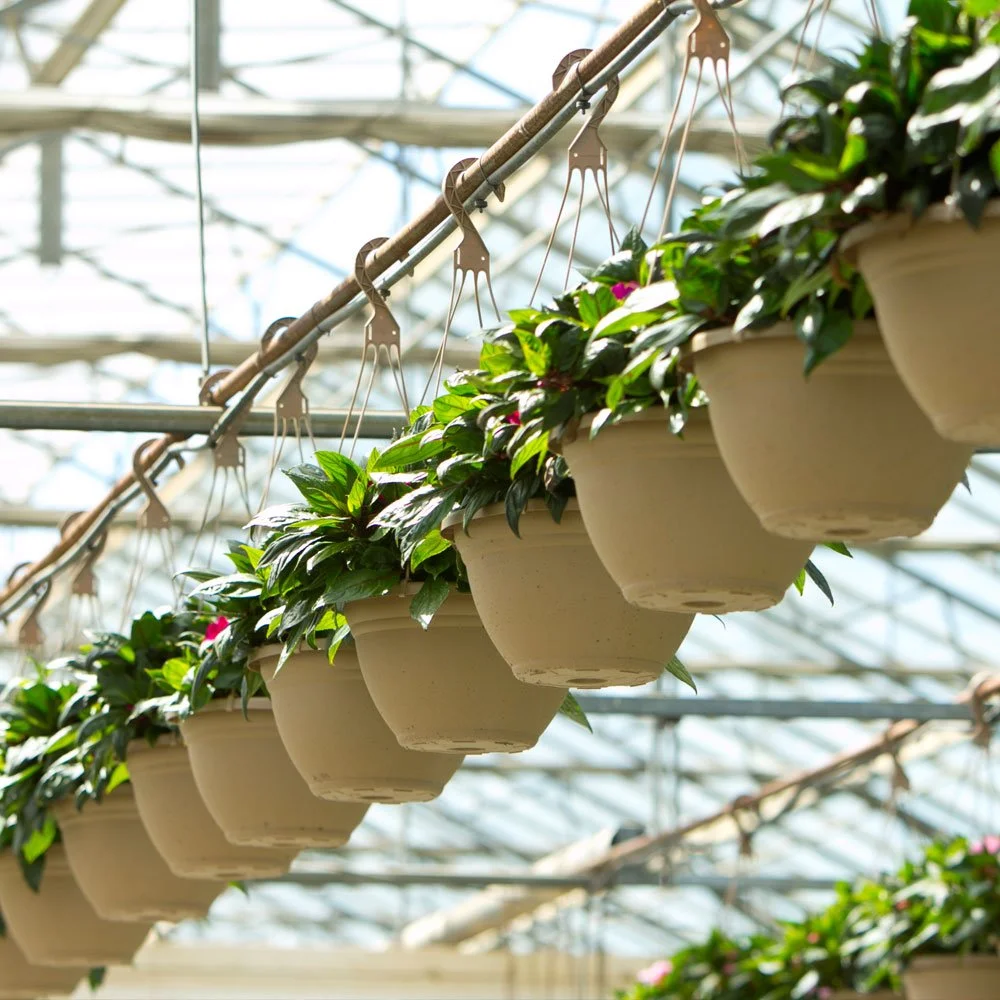 About Us — Plants by Post