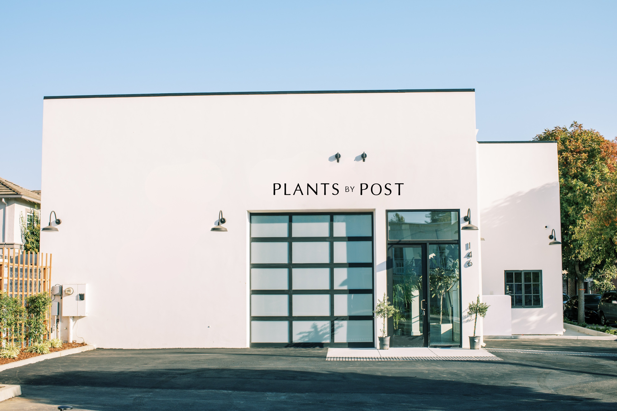 Plants by Post