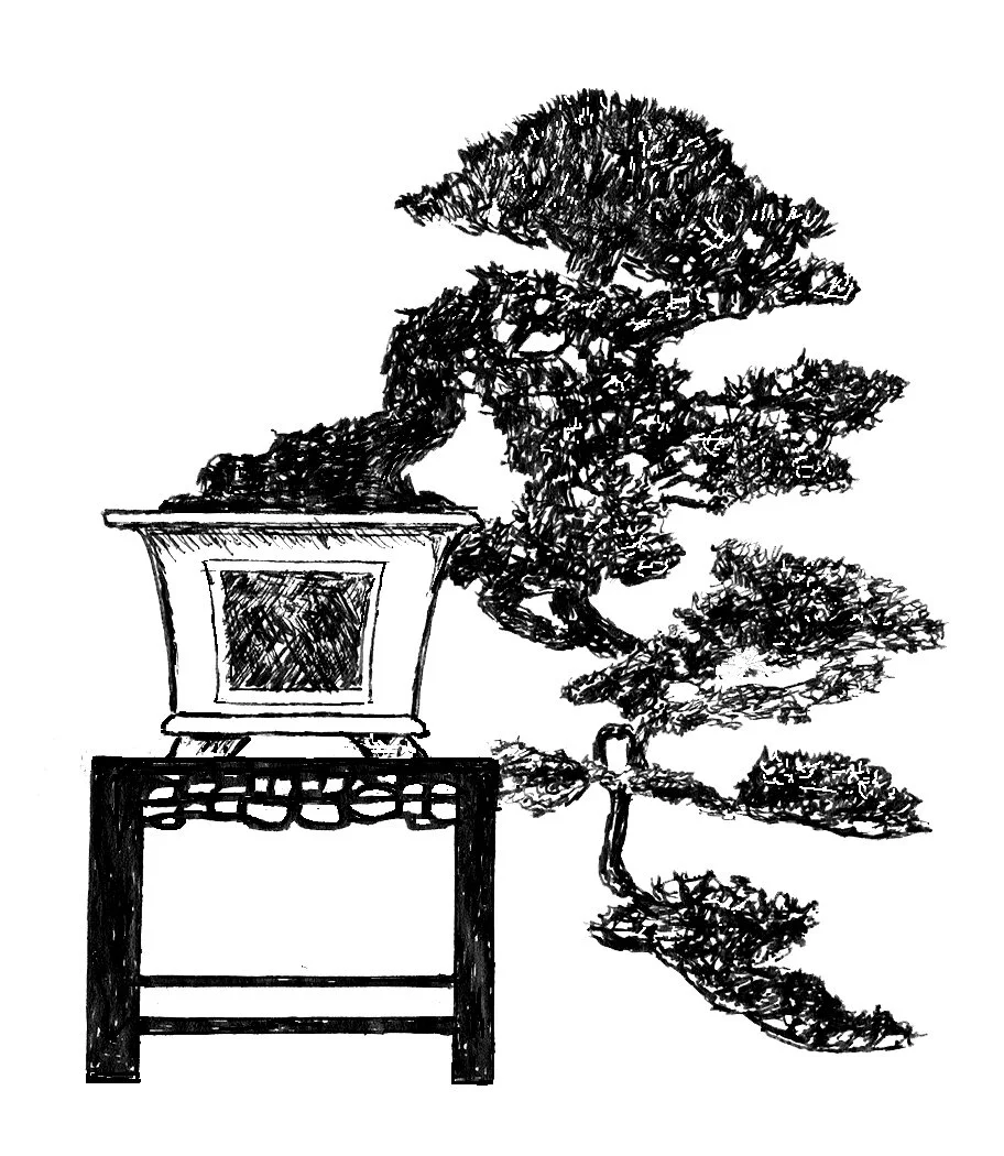 Bonsai Facts — The Pennsylvania Bonsai Society