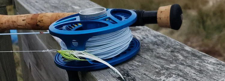 Climate-Resilient Fisheries Report — 5 MINUTES FOR FISH