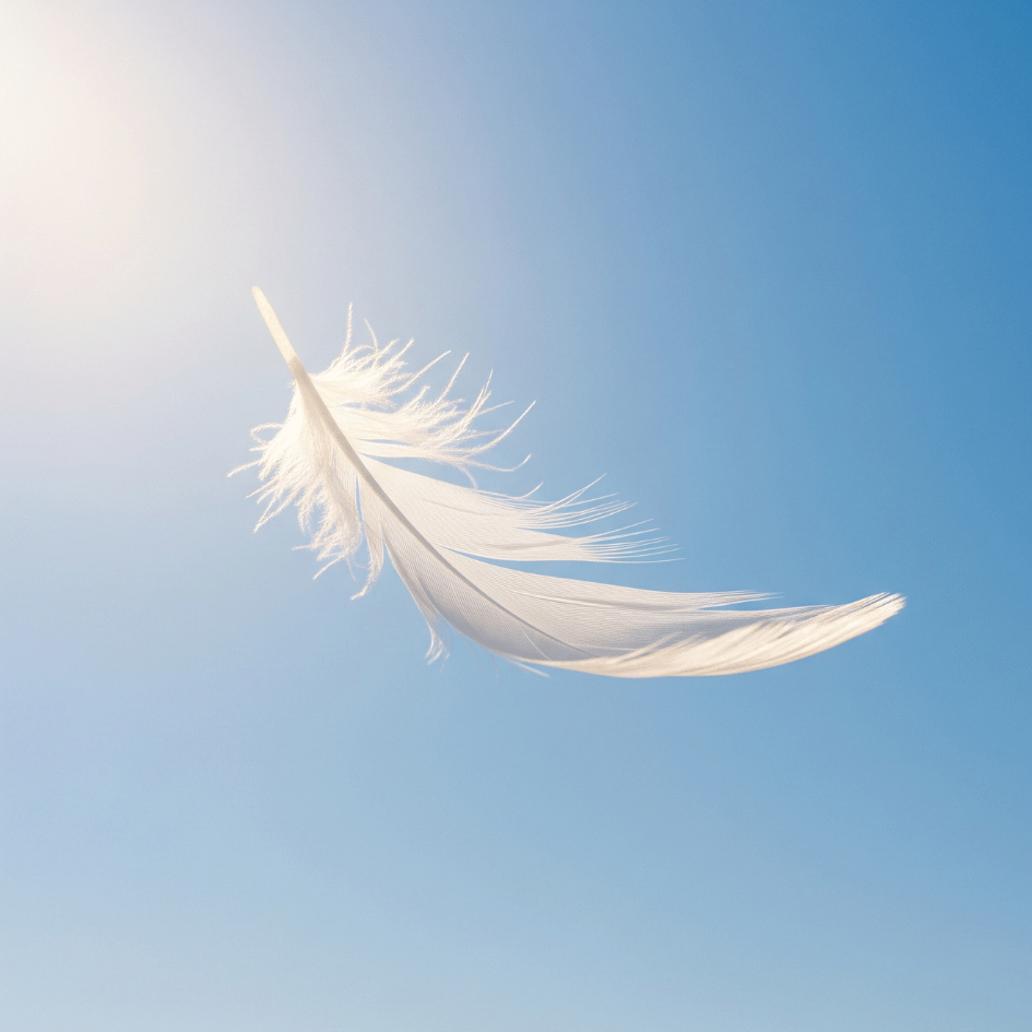 InnerSense in person — Dr . Graham Mead
