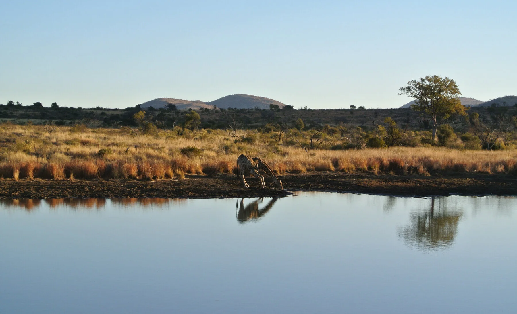 InnerSense in person — Graham Mead