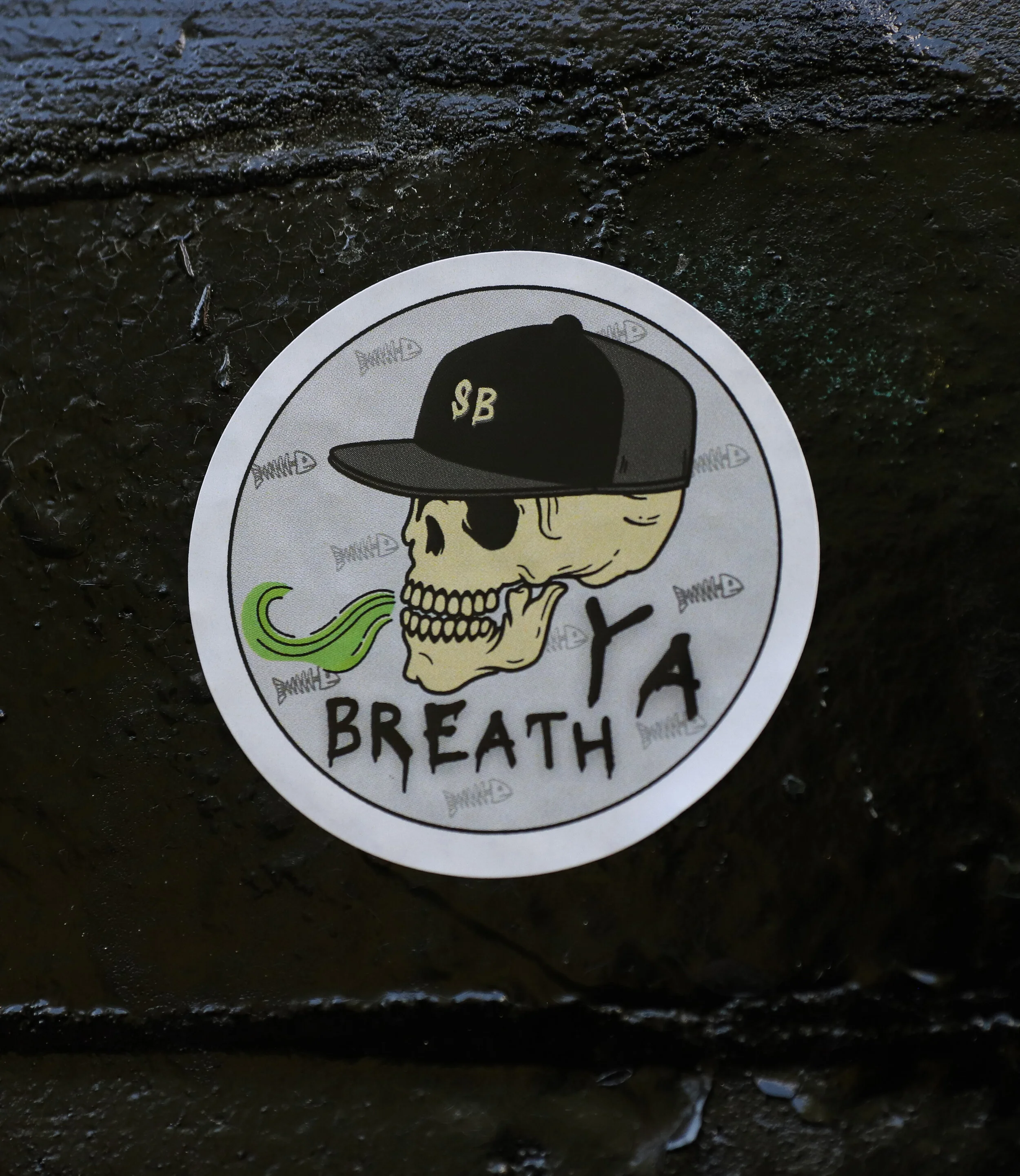 Shop — Snagged Bro