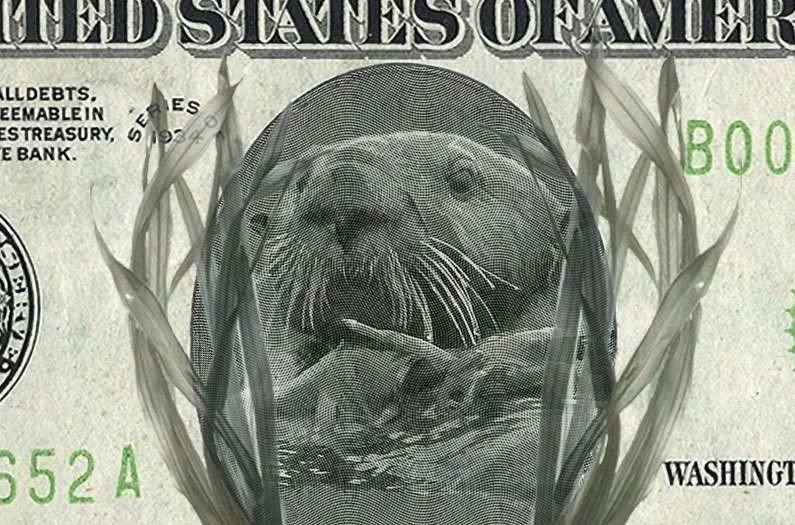 There’s a massive multi-billion dollar ecosystem just beneath the waves ...