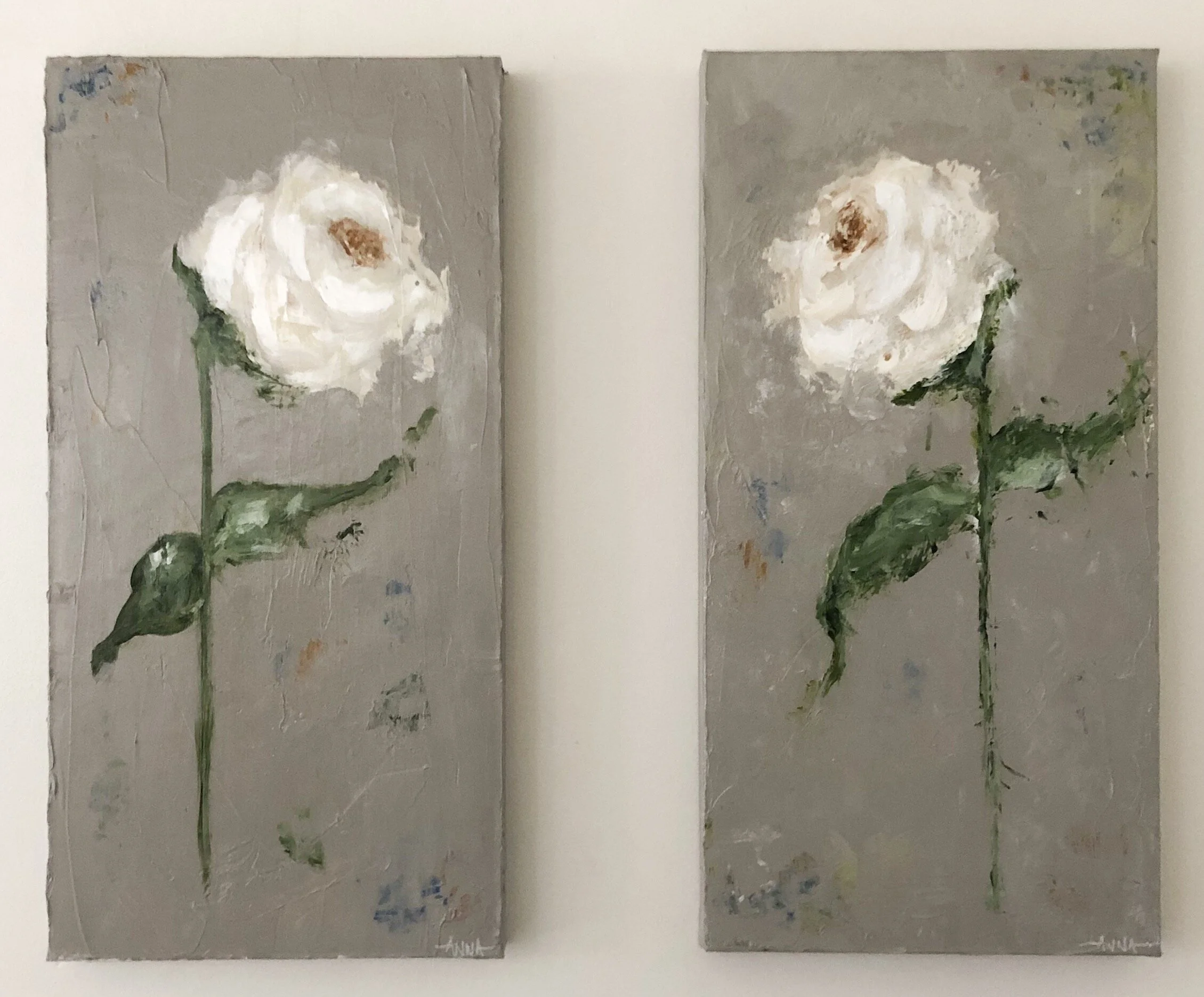 Shop — Anna Dickson Art