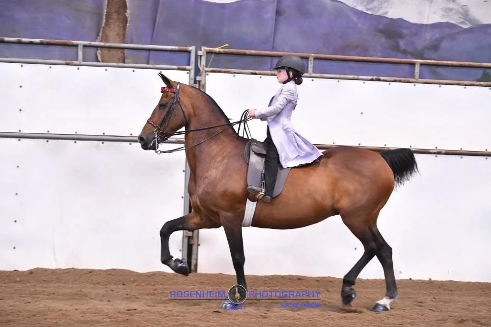 Lessons — Grand Finale Stables
