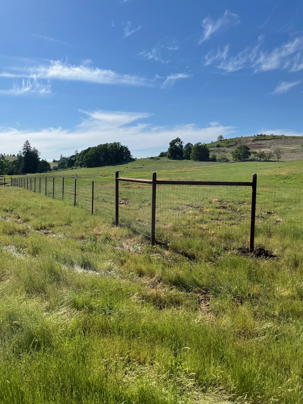 Pipe Fence — OREGON RANCH FENCE