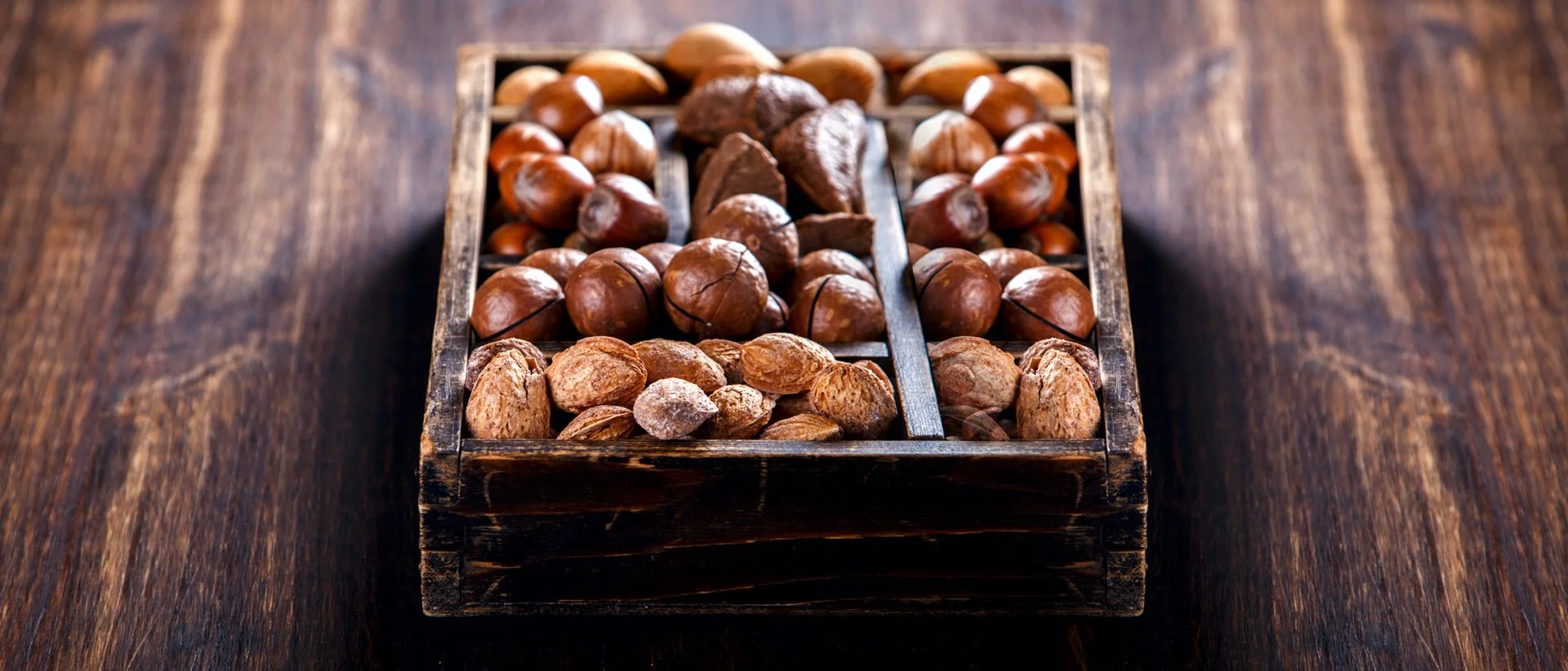 Cardassilaris Family – Nuts & Dried Fruit Broker