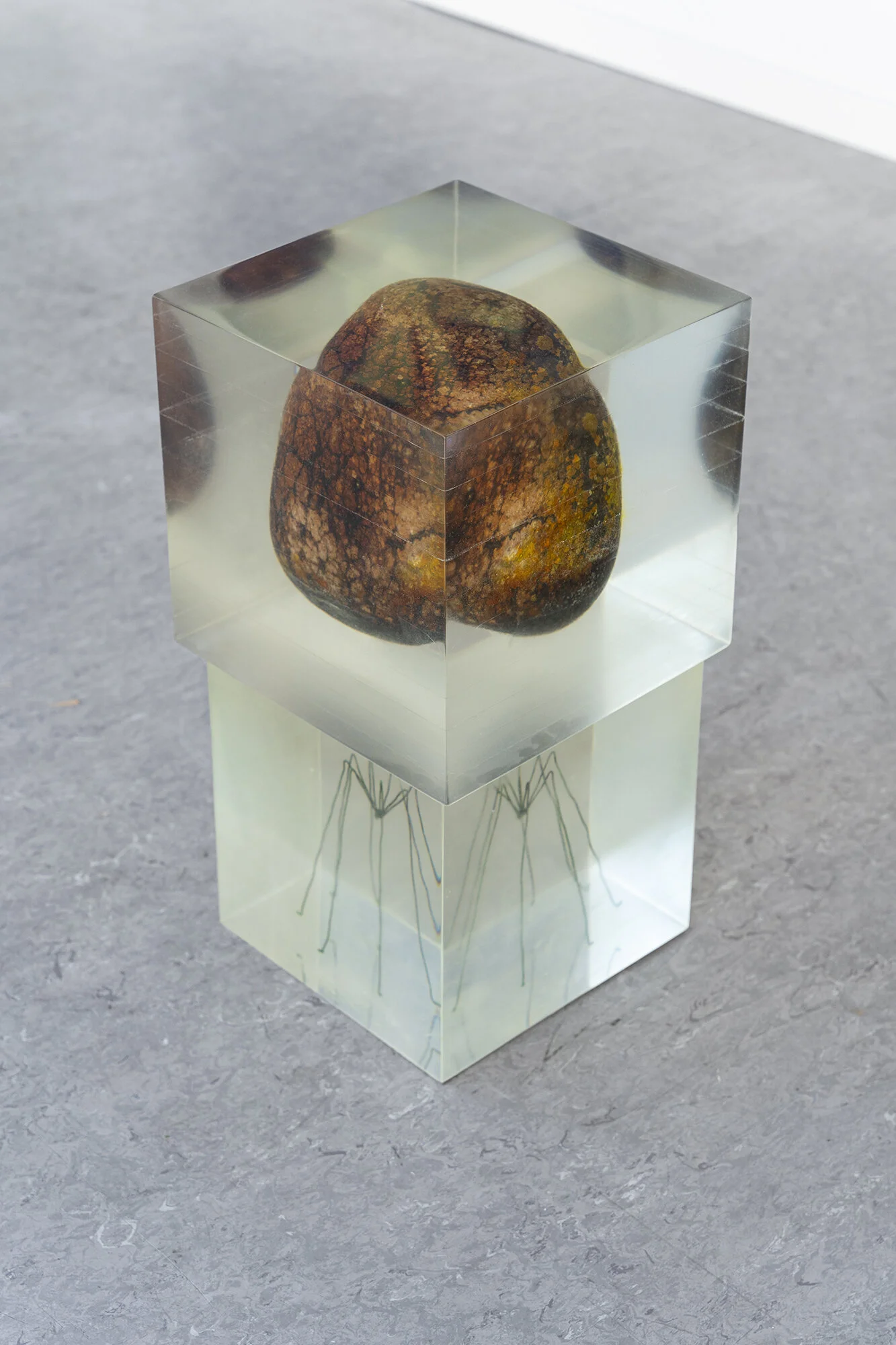 Tron Meyer — ISCA GALLERY