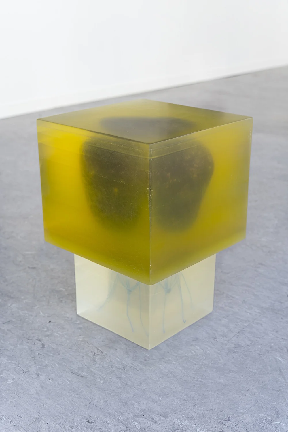 Tron Meyer — ISCA GALLERY