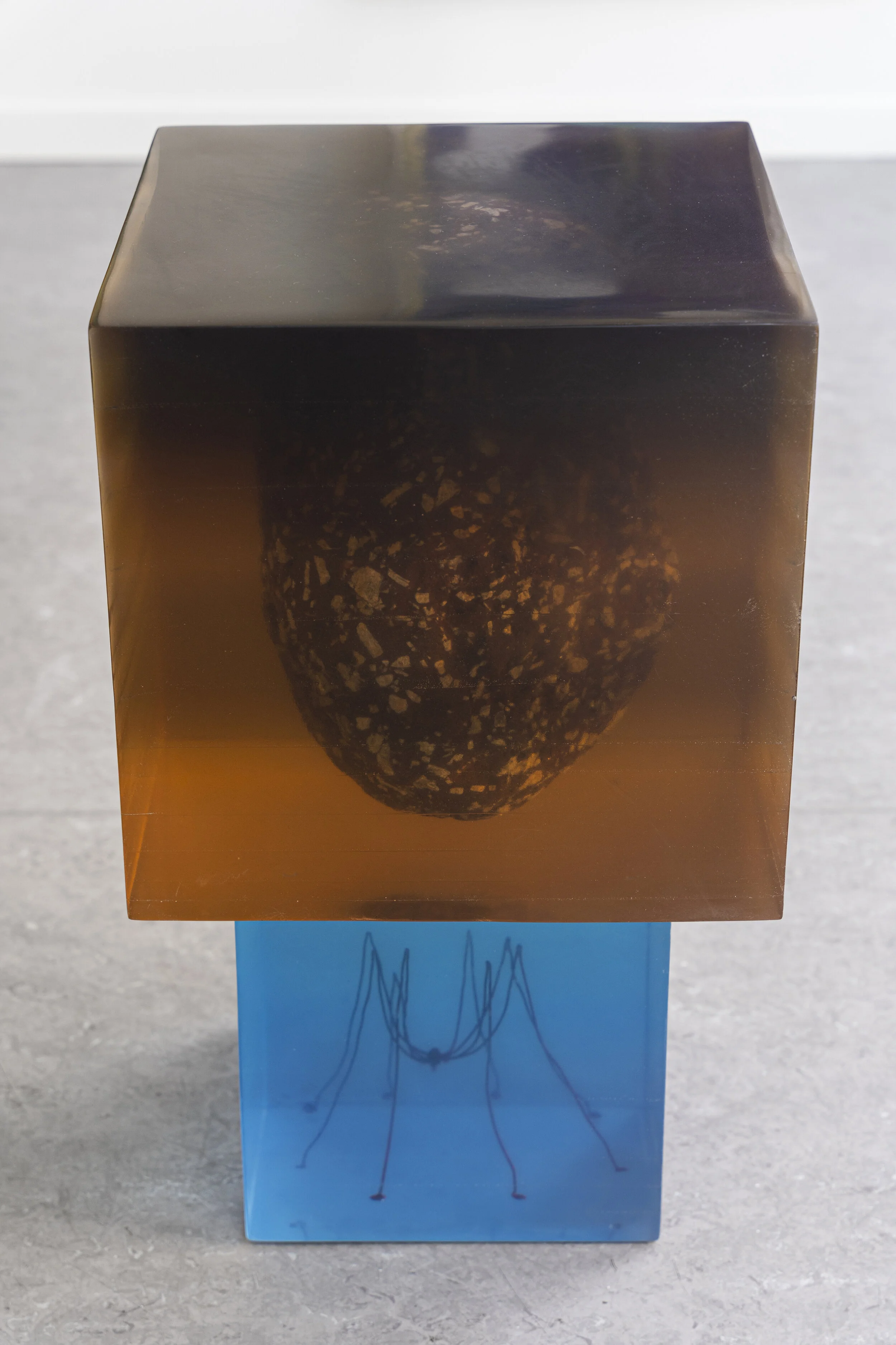 Tron Meyer — ISCA GALLERY