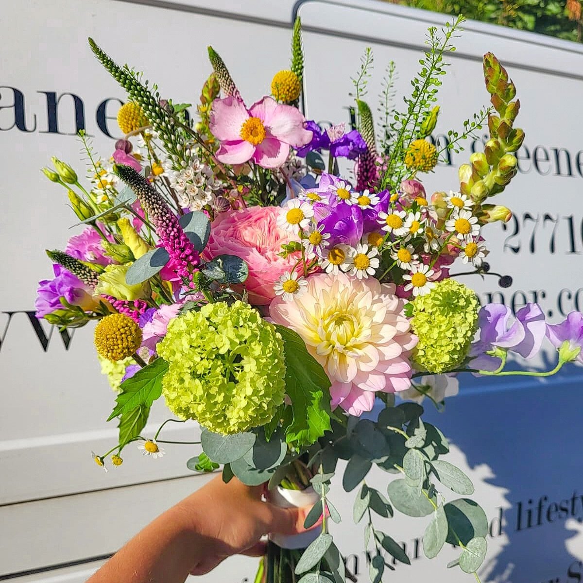 Our Signature Collection — Graham Greener Florist