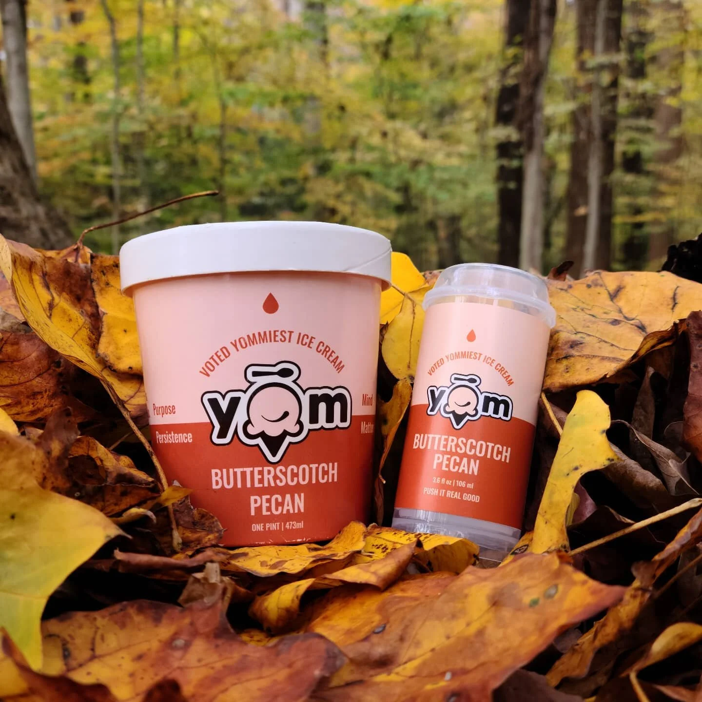 Yom Ice Cream