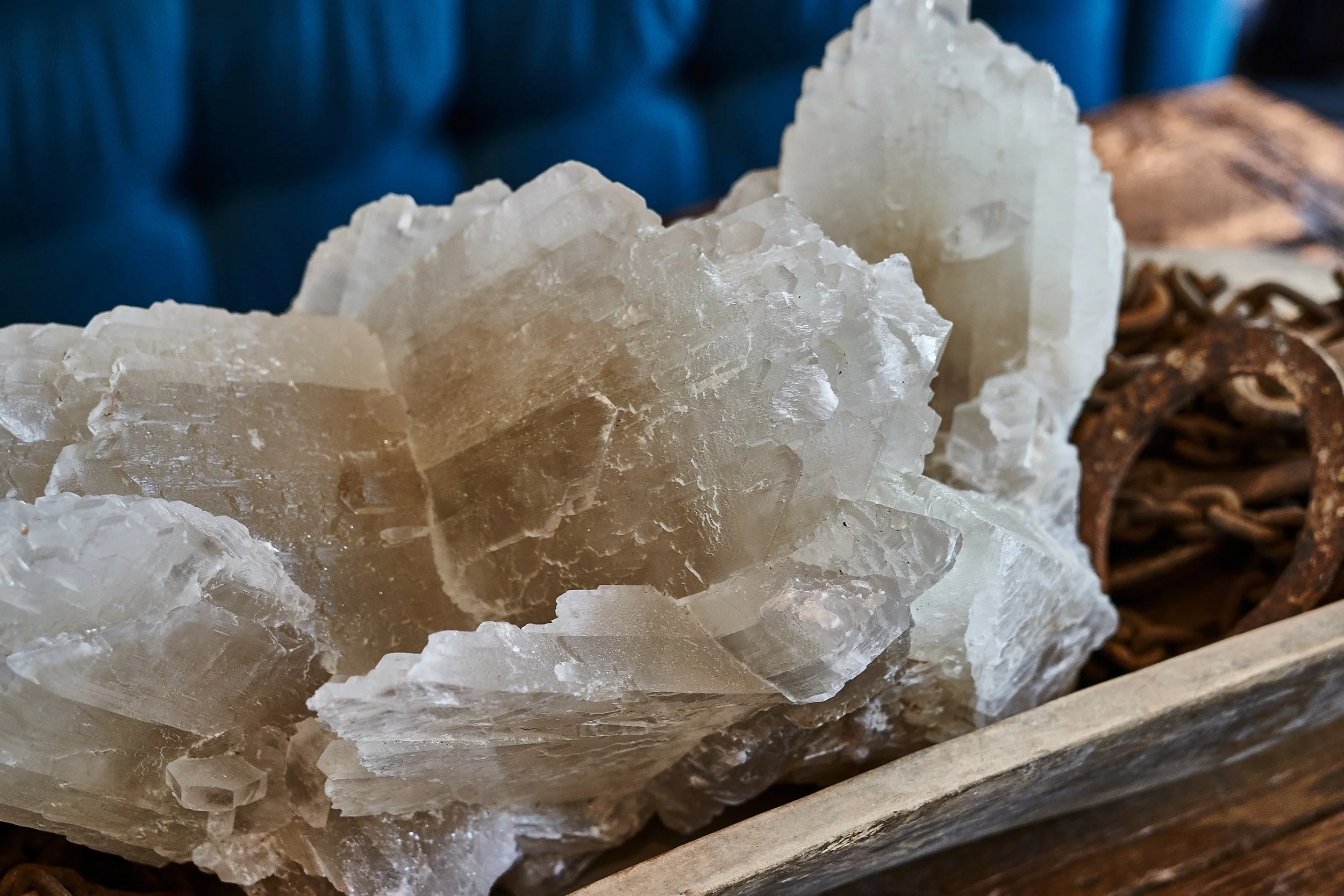 Julie Neuman - REALTOR® | Real Estate Agent — The Ashton Agency